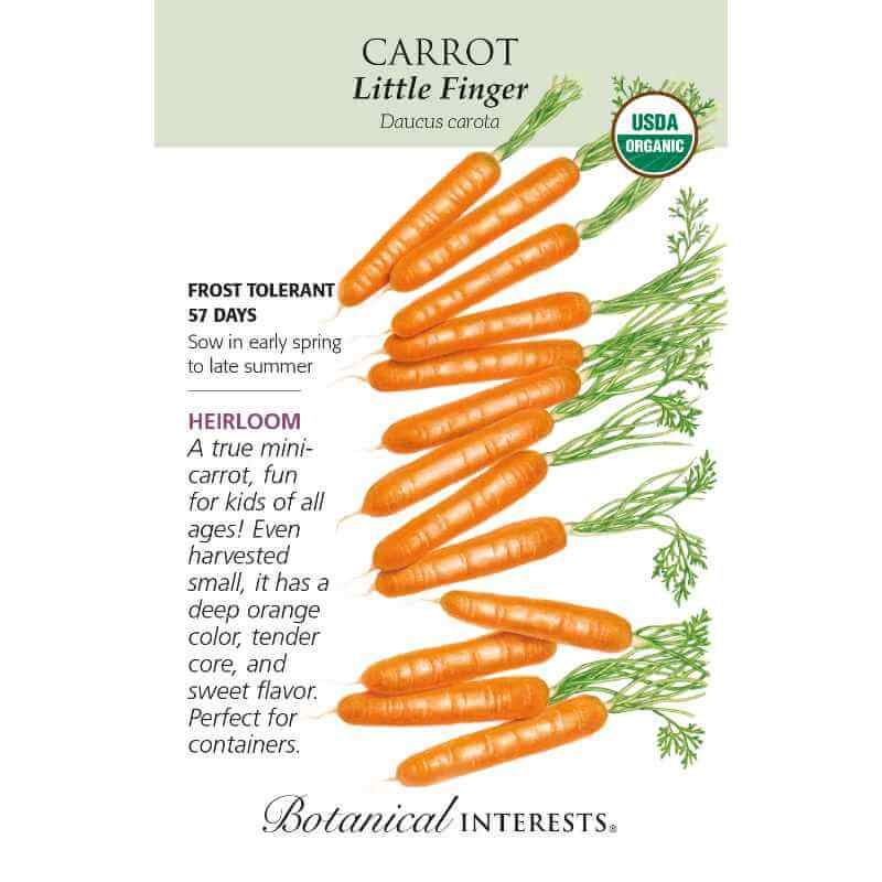 Carrot Seed Packet