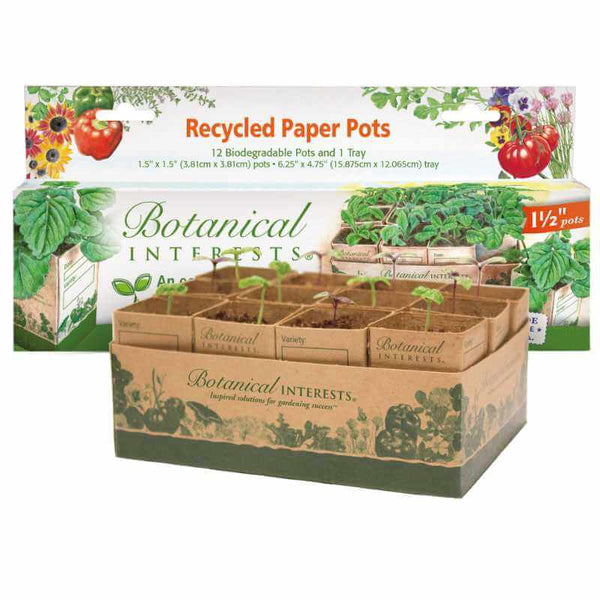 Recycled Paper Pots Small - Pack of 12